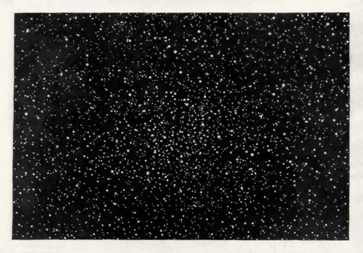 Vija Celmins: To fix the image in memory – Two Coats of Paint