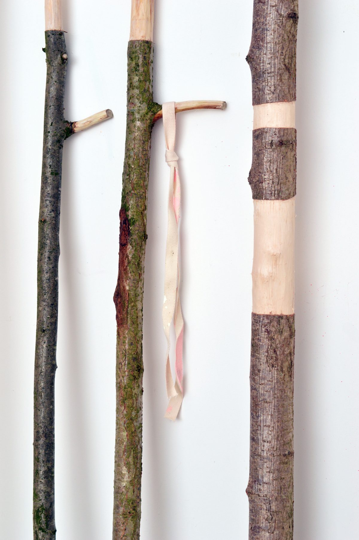 Rachel Howard: A fascination with madness – Two Coats of Paint