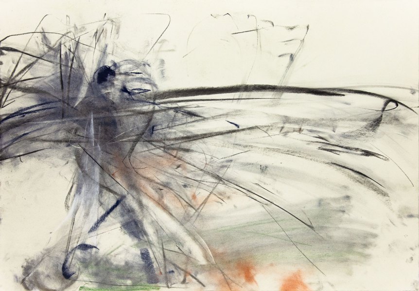 Athletics and Art: An Exchange Between Terry Rosenberg and Zach Seeger ...