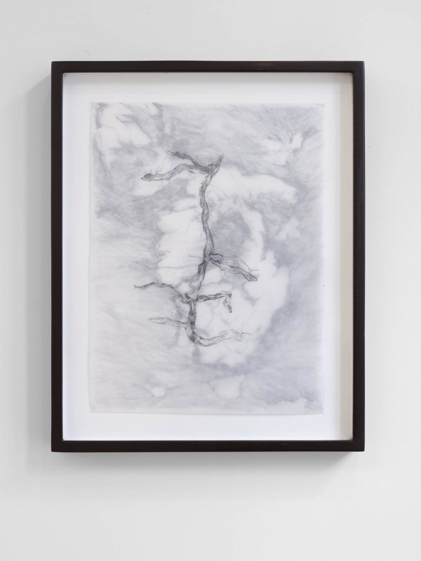 Emma Helene Moriconi: Art, science, and the body – Two Coats of Paint