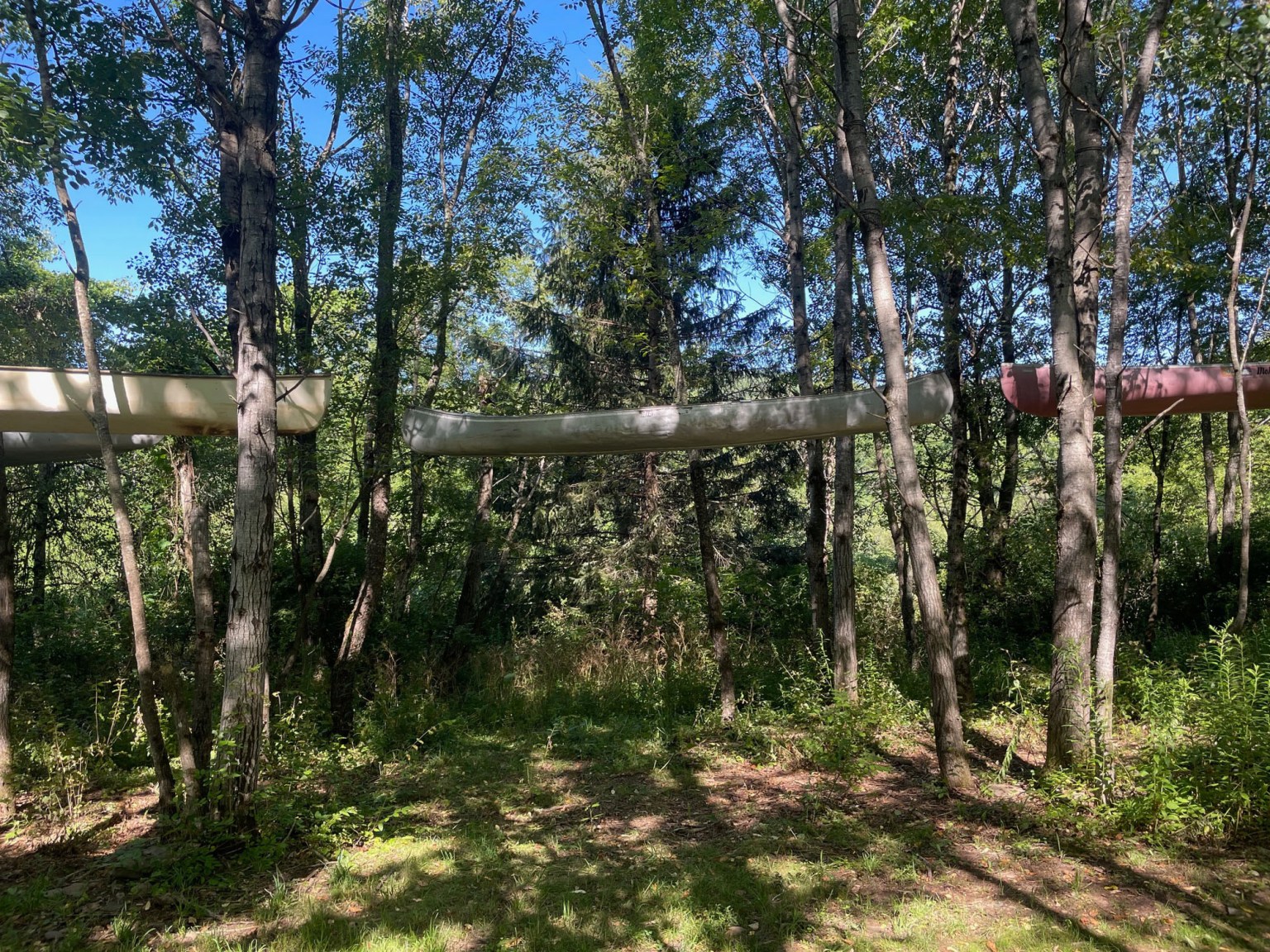 Conversation: Adam Simon with Lisa Hein, Liza Phillips, and Bob Seng ...