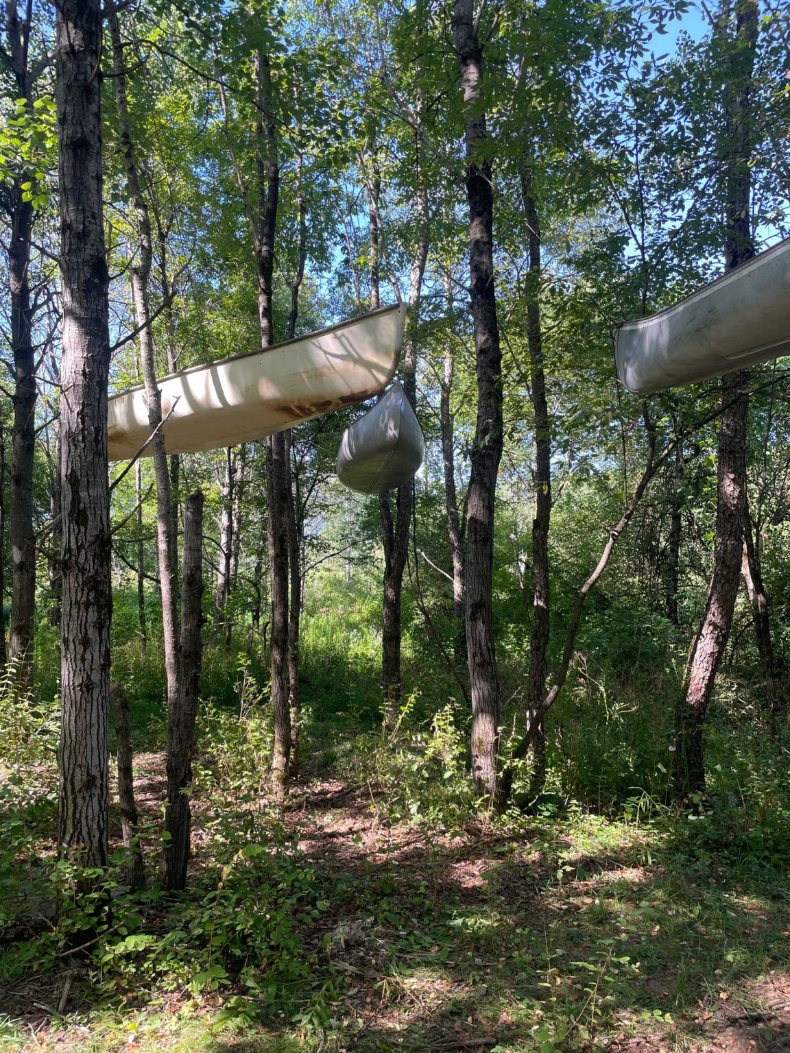 Conversation: Adam Simon with Lisa Hein, Liza Phillips, and Bob Seng ...